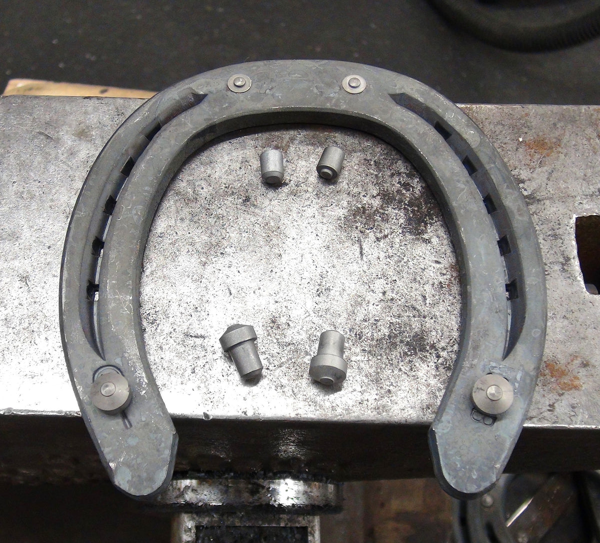 FPD Solid Carbide Drive In Studs| Northeast Farrier Supply