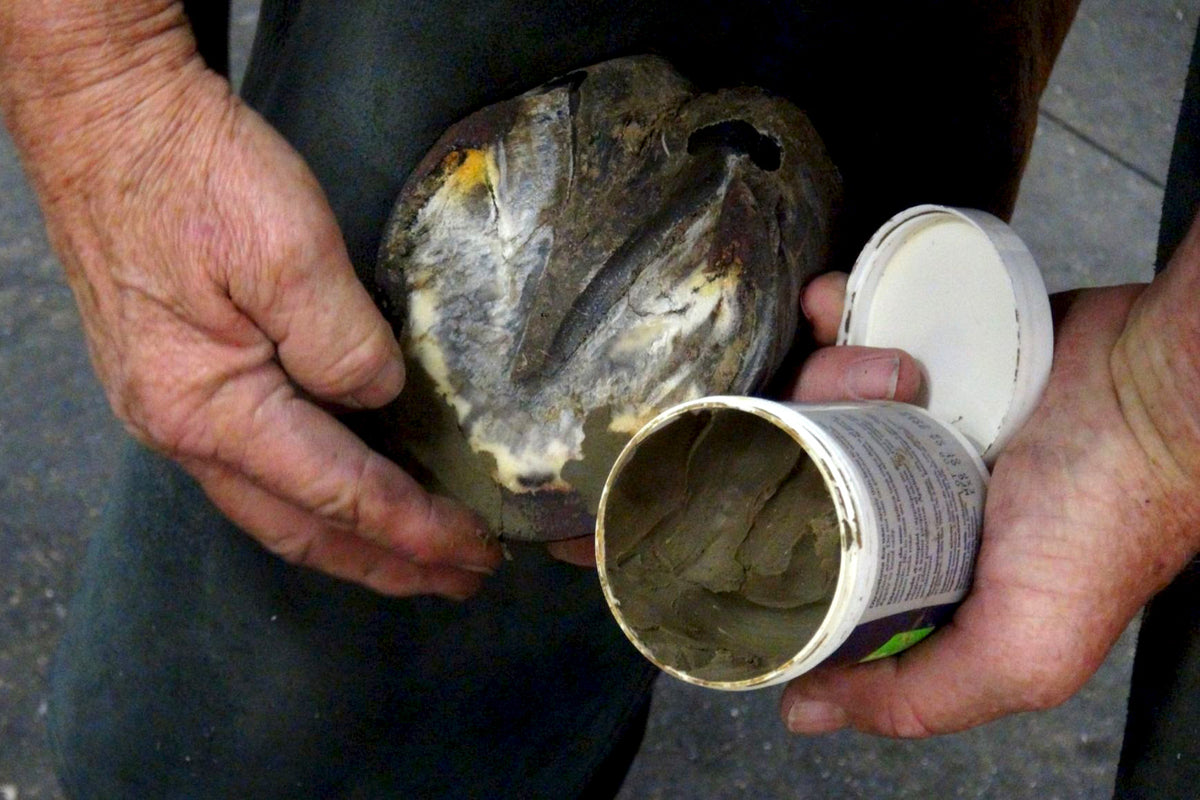 FootPro CS Plus Hoof Treatment| Northeast Farrier Supply