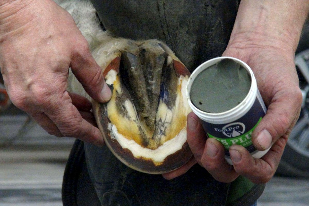 FootPro CS Plus Hoof Treatment| Northeast Farrier Supply