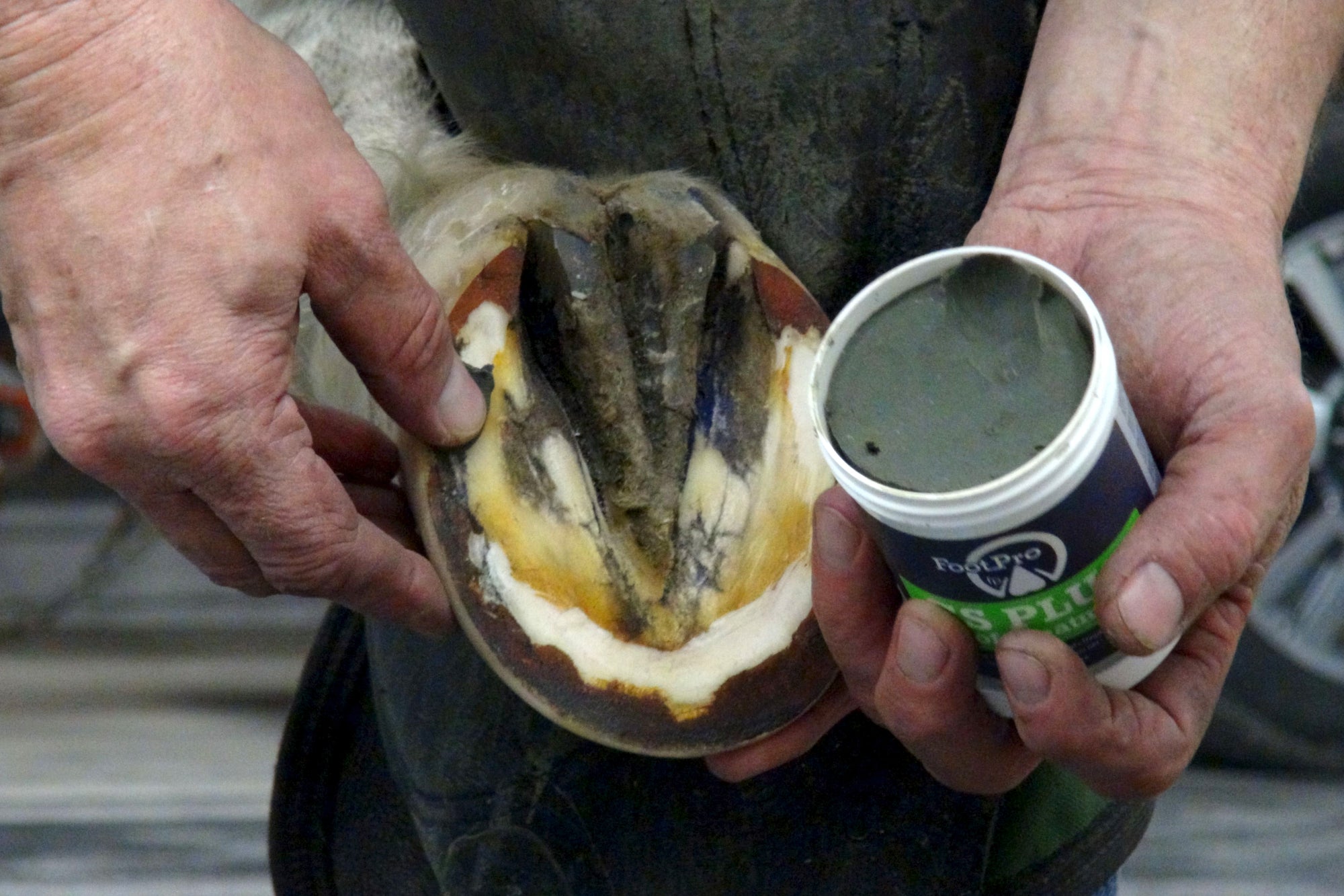 FootPro CS Plus Hoof Treatment| Northeast Farrier Supply